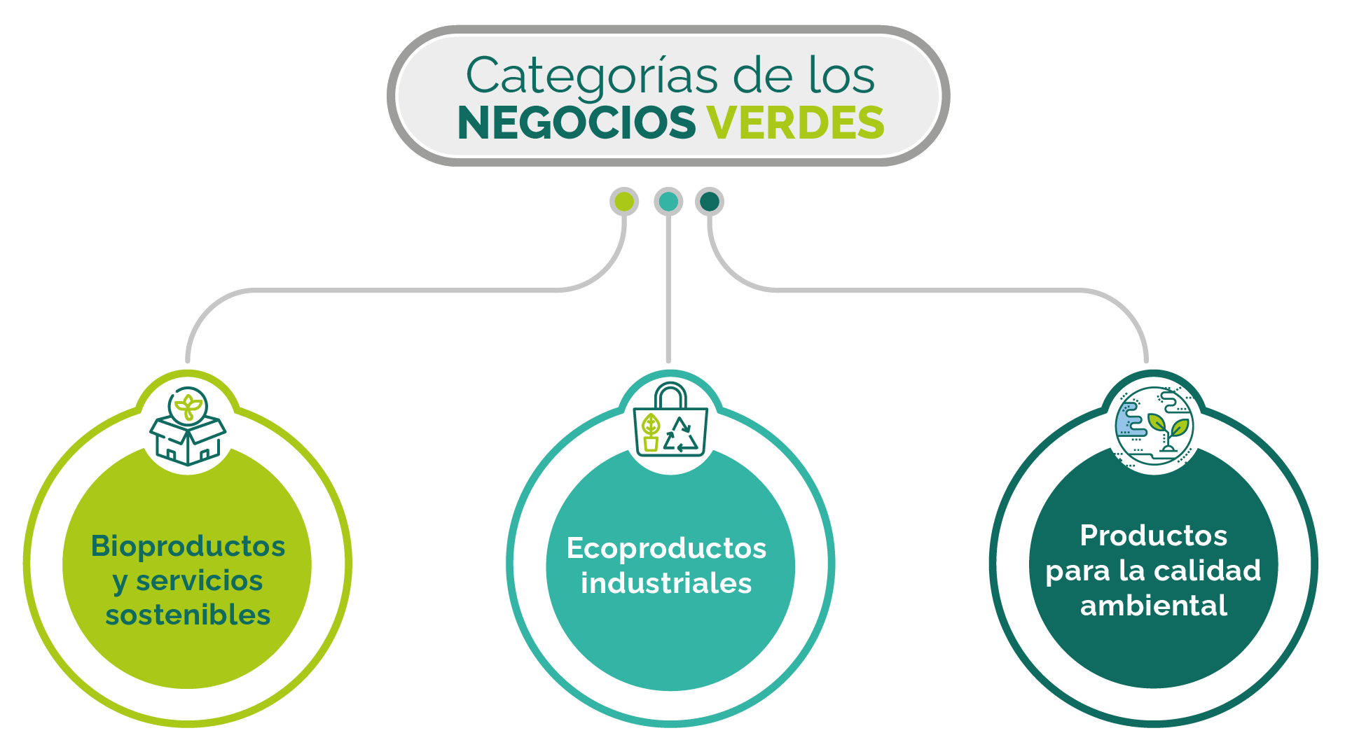 Categorías de Negocios Verdes – Negocios Verdes