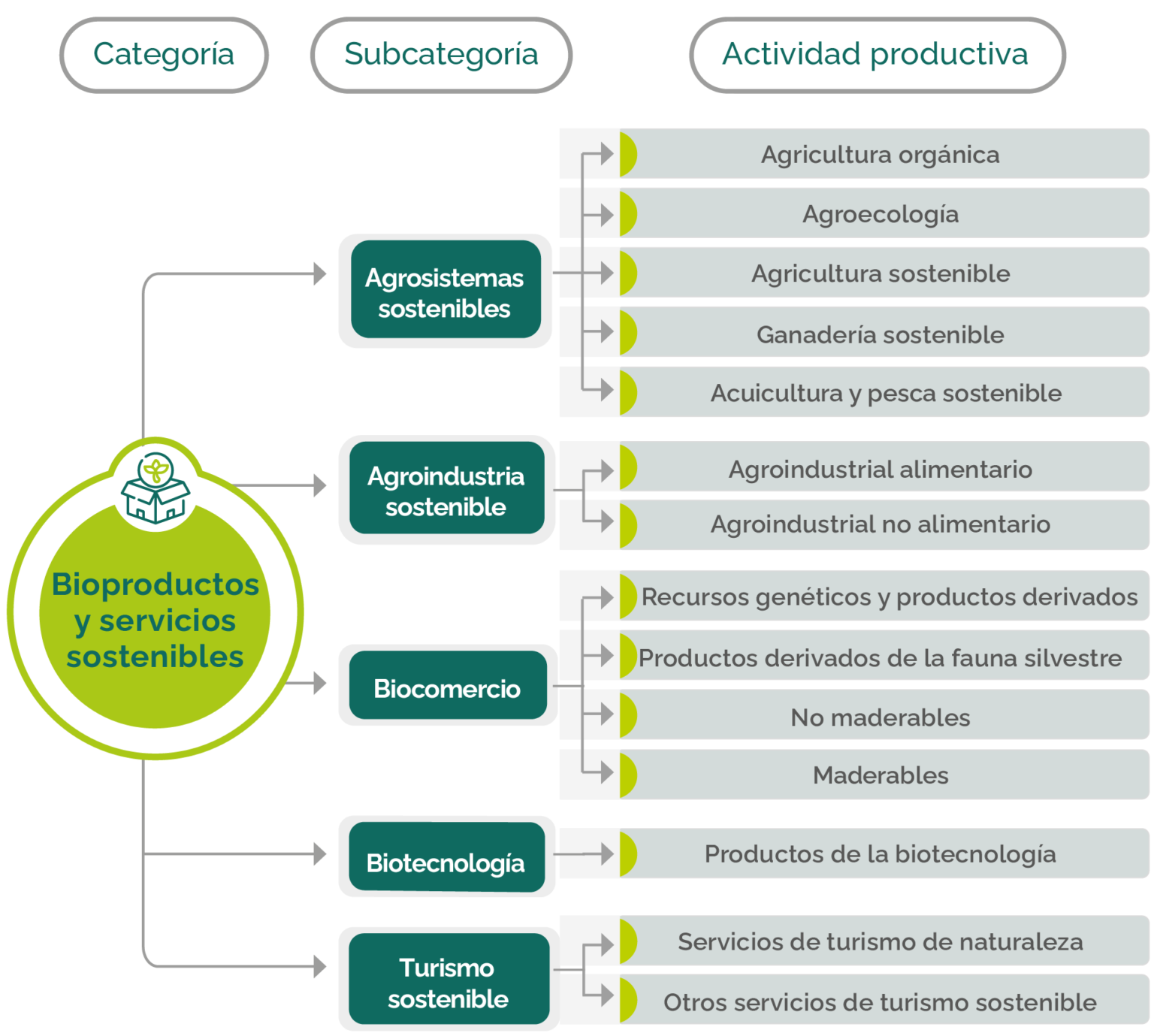 Categorías de Negocios Verdes – Negocios Verdes